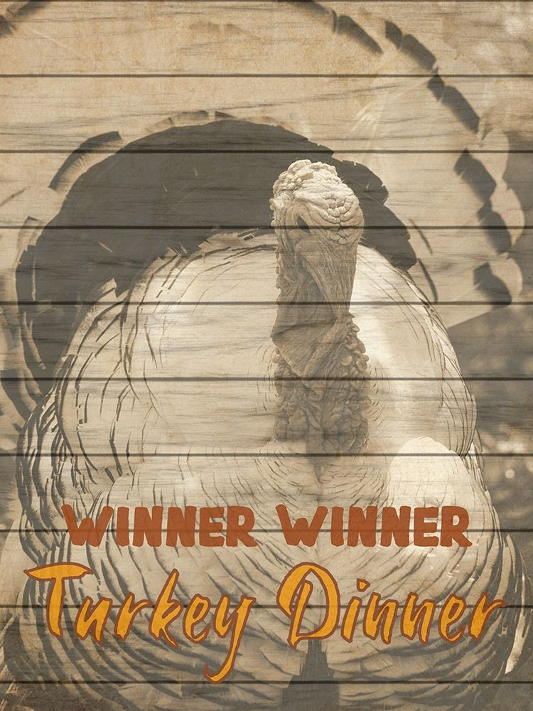 Turkey Dinner Poster Print by Jamie Phillip # JRV288A - Posterazzi