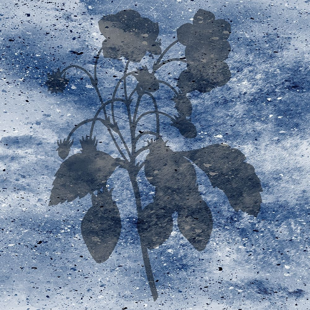 Midnight Bloom 1 Poster Print by Jamie Phillip # JS41A - Posterazzi