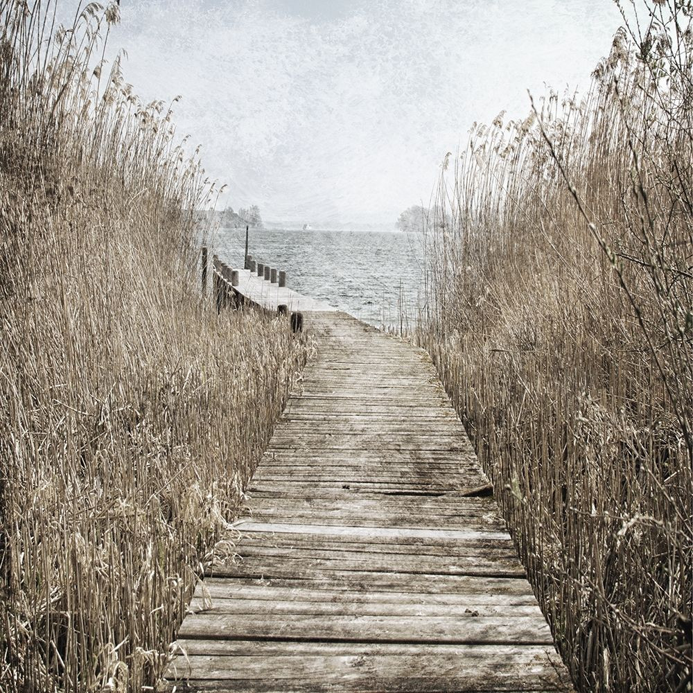 Marshland Quack 2 Poster Print by Jamie Phillip # JS3B - Posterazzi