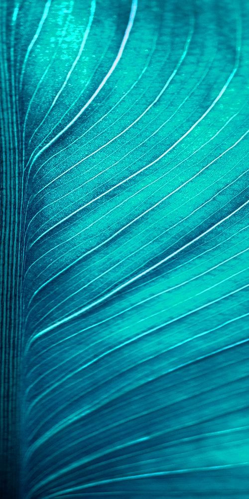 Green Tropics 2 Poster Print by Jamie Phillip # JPT19B - Posterazzi