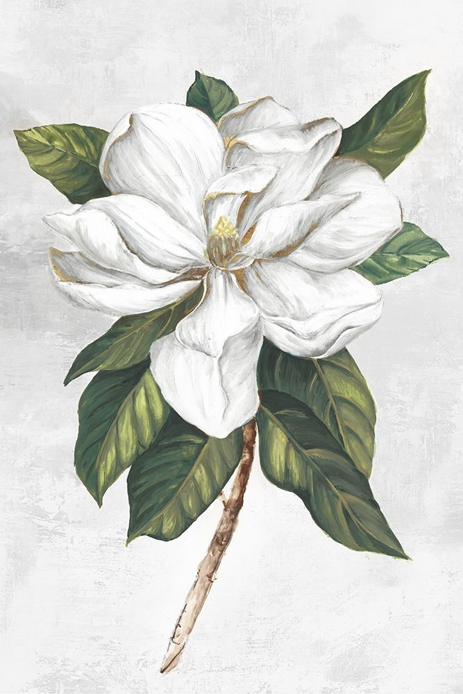 Pearly Beauty I Poster Print by Eva Watts # EW617A - Posterazzi
