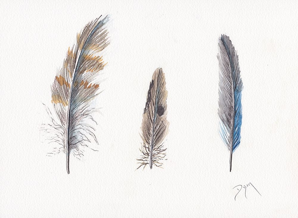 Feather Collection Poster Print by Beverly Dyer # BDRC203A - Posterazzi