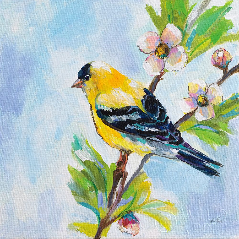 Golden Finch Poster Print by Jeanette Vertentes # 63457 - Posterazzi