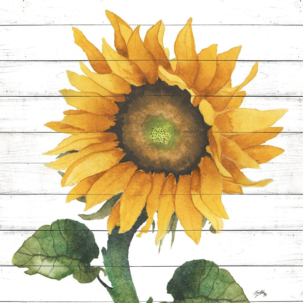 Happy Sunflower Paintings