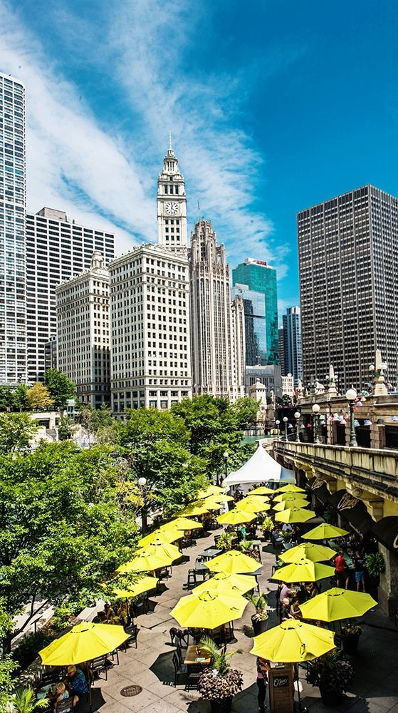 Chicago Mornings by Bill Carson Photography (13 x 24) - Posterazzi