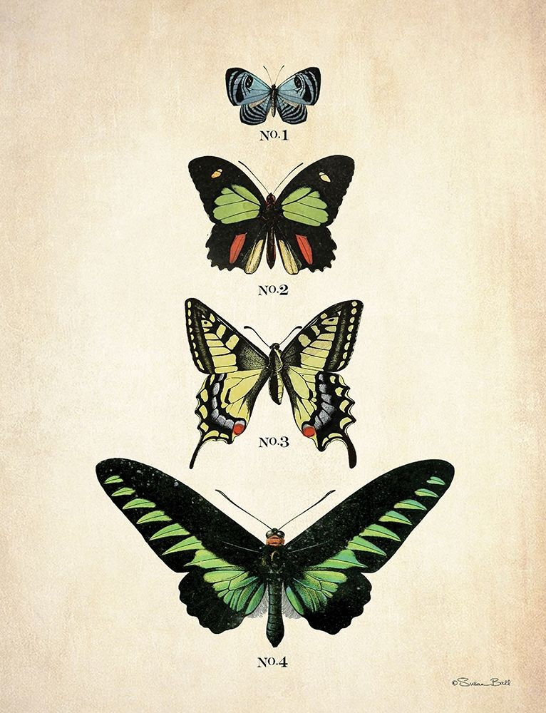Butterflies 1 by Susan Ball (18 x 24) - Posterazzi
