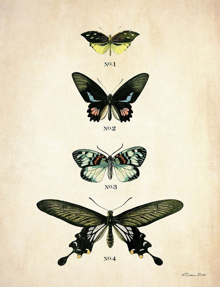 Butterflies 3 by Susan Ball (18 x 24) - Posterazzi