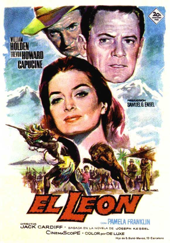 Lion, The Movie Poster Print (11 x 17) - Item # MOVII5674 - Posterazzi