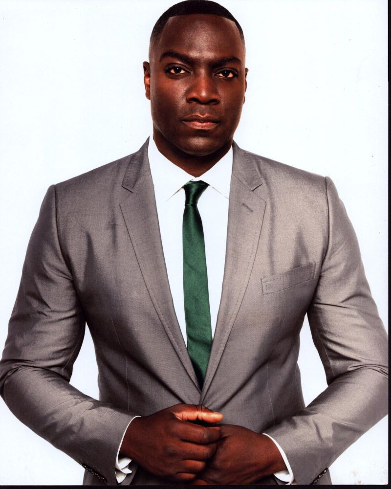 Adewale Akinnuoye-Agbaje In Gray Suit With Green Tie Photo Print (8 x ...