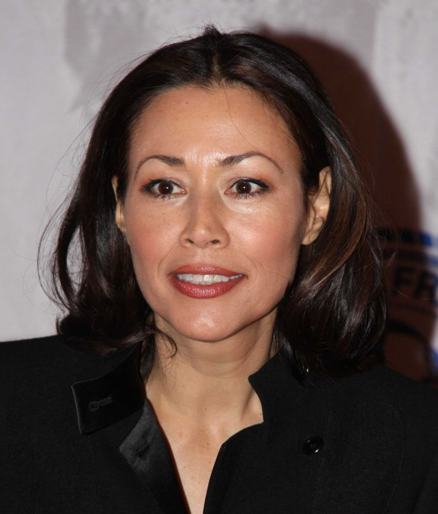 New York, NY 10-24-2008. Ann Curry Friar's Club Roast honoring Matt ...