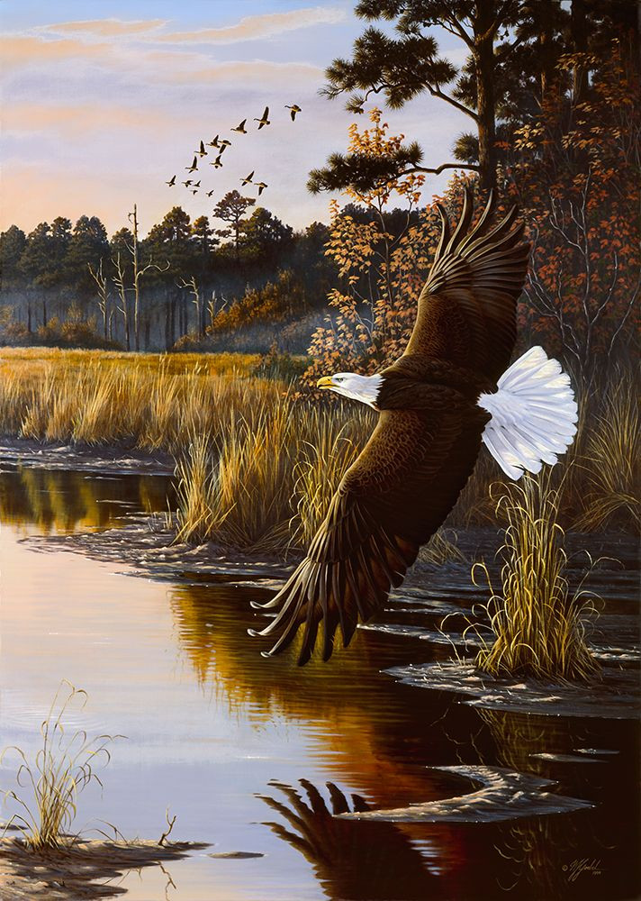 Wings Of Autumn - Bald Eagle Poster Print - Wilhelm Goebel - Posterazzi