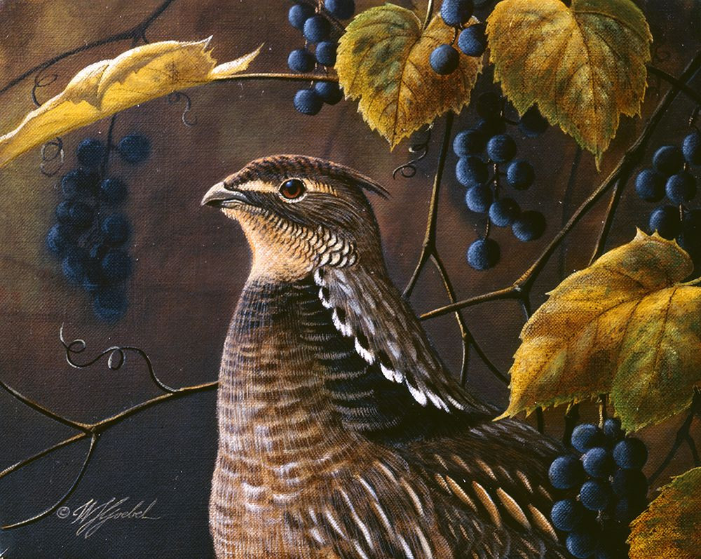 Grouse And Grapes Poster Print - Wilhelm Goebel - Posterazzi