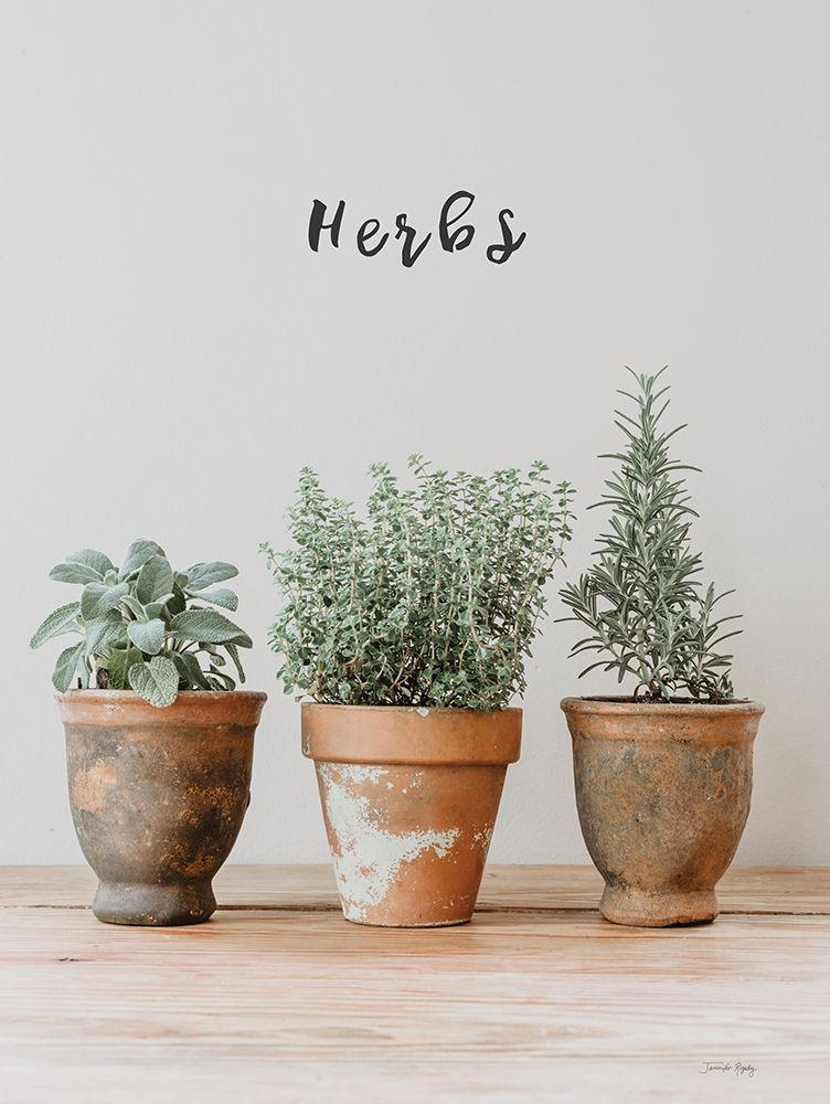 Farmhouse Herbs II Poster Print - Jennifer Rigsby - Posterazzi