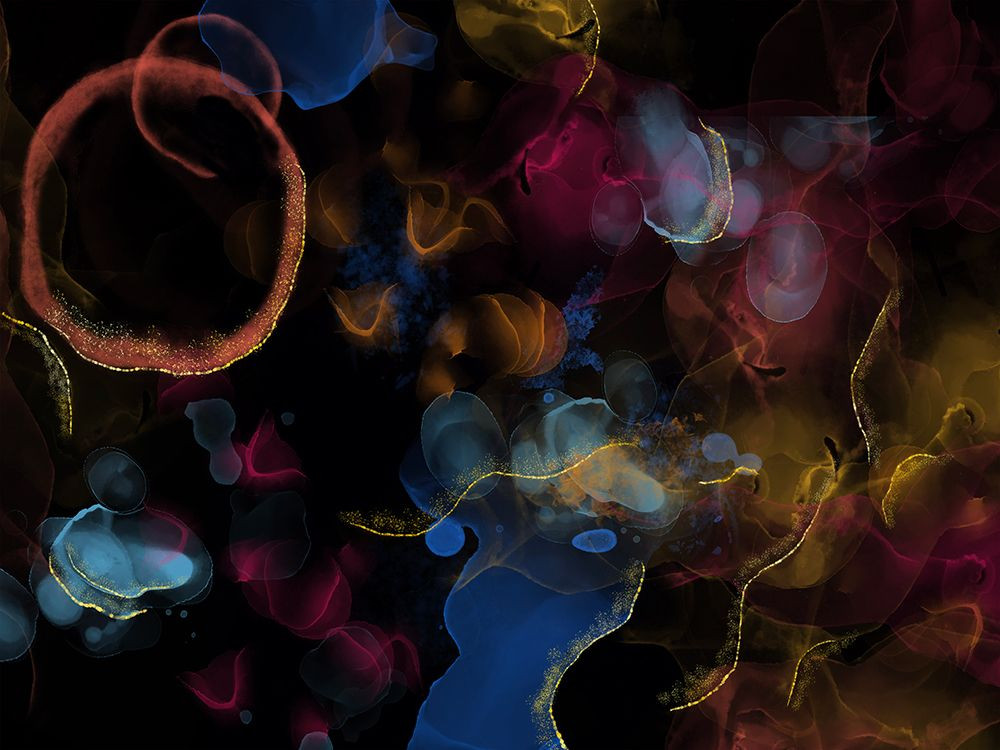 Audacious Poster Print - Renel Peters - Posterazzi