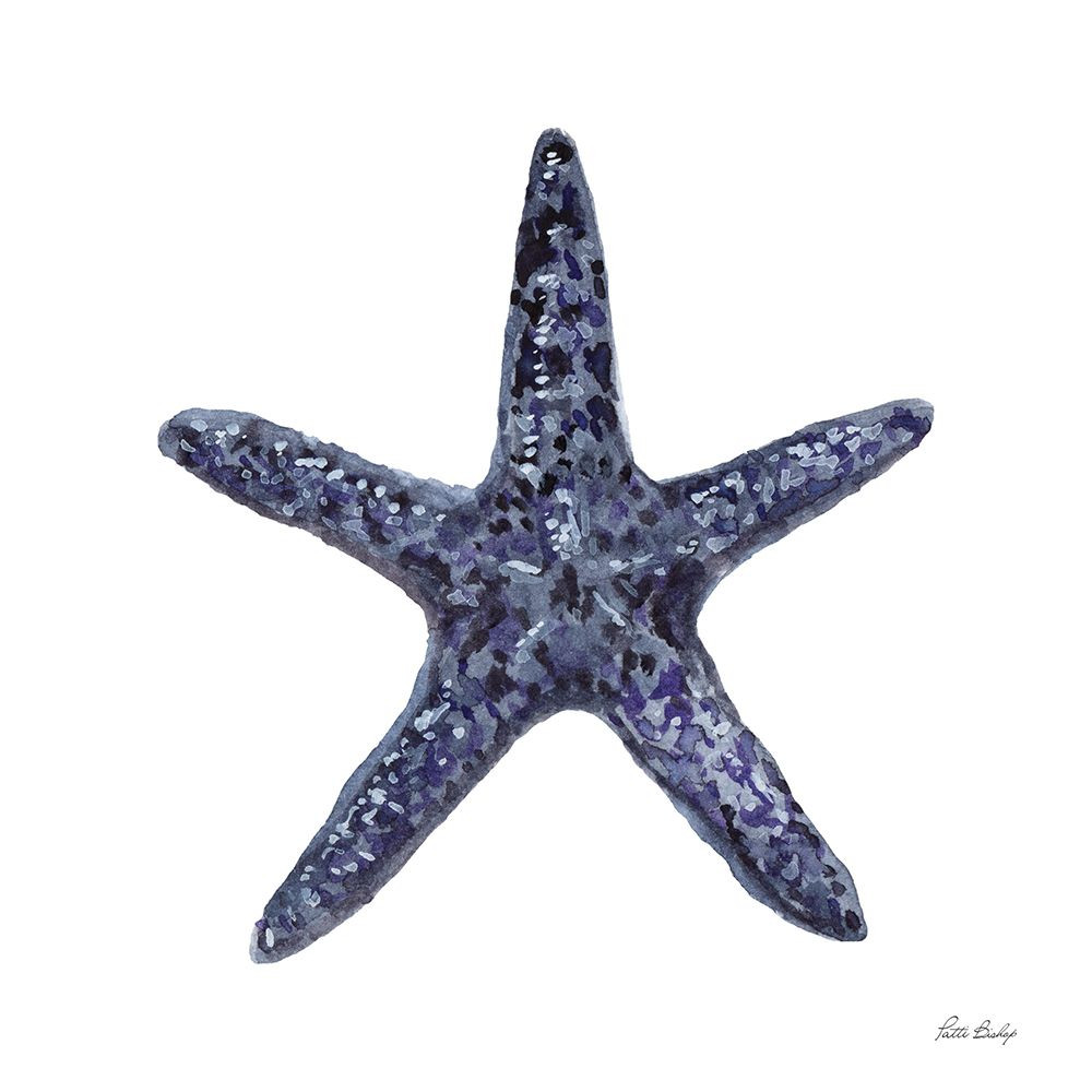 Blue Shell Starfish Poster Print - Patti Bishop - Posterazzi