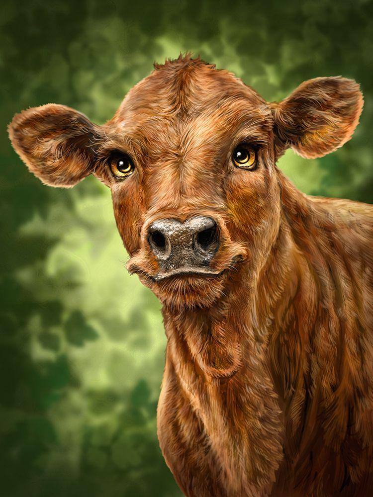 Clearwater Calf Poster Print - Patrick LaMontagne - Posterazzi