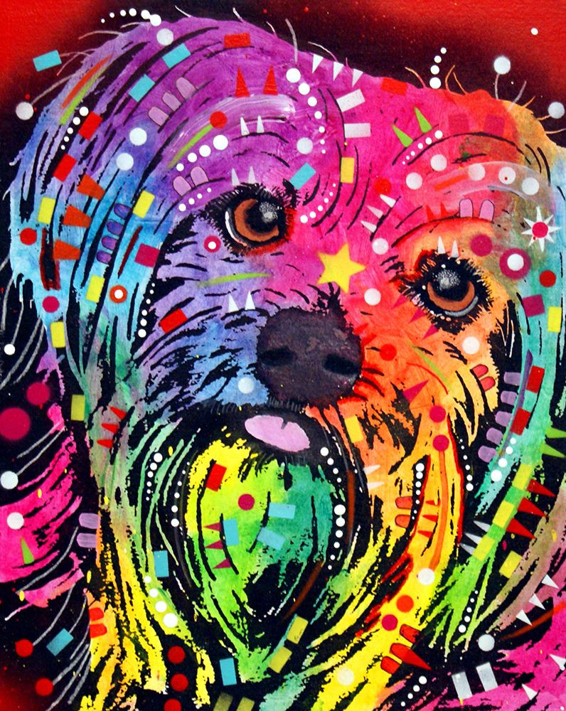 Yorkie Poster Print - Russo Collection Dean - Posterazzi