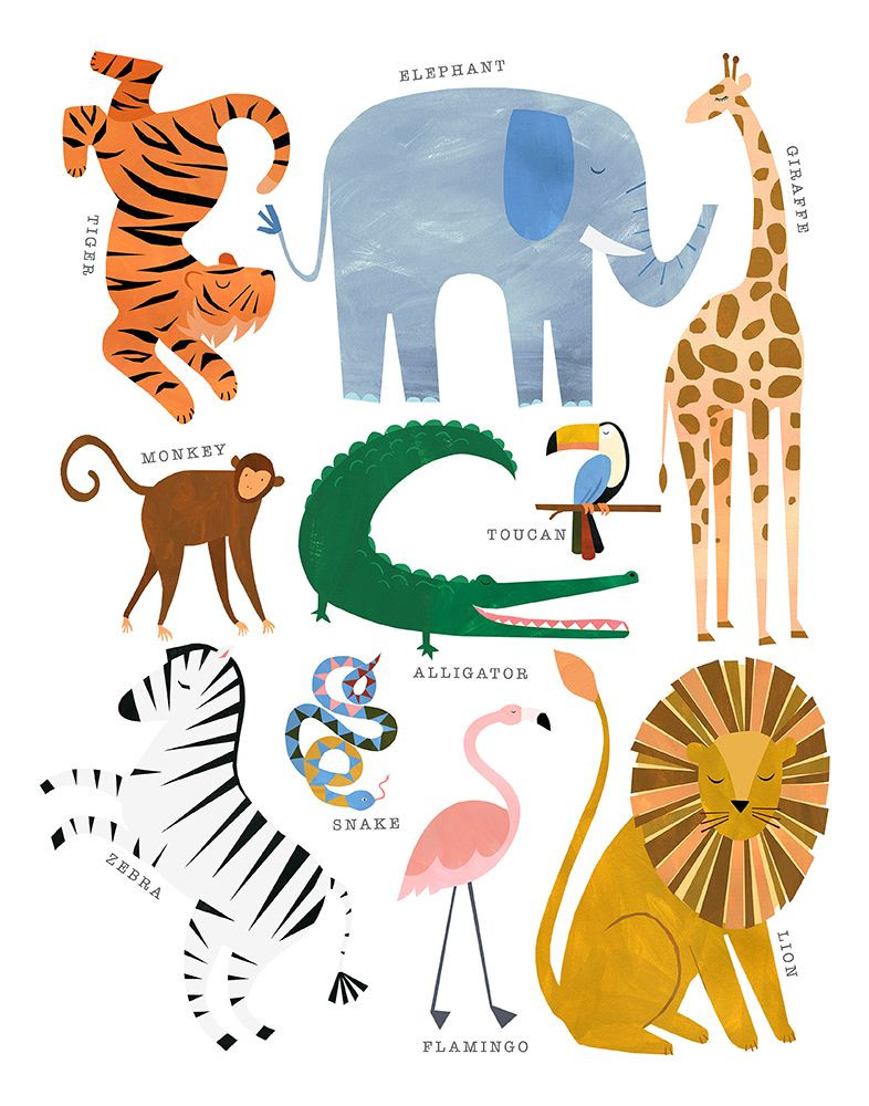 Animal Chart Poster Print - Emily Kopcik - Posterazzi