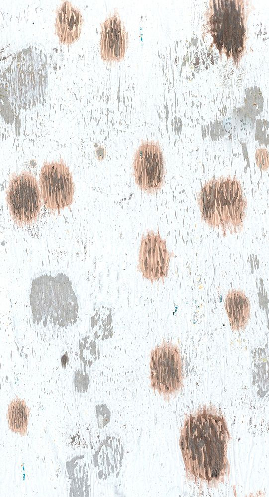 Wheaton Rose-5L Poster Print - Melissa Renee - Posterazzi