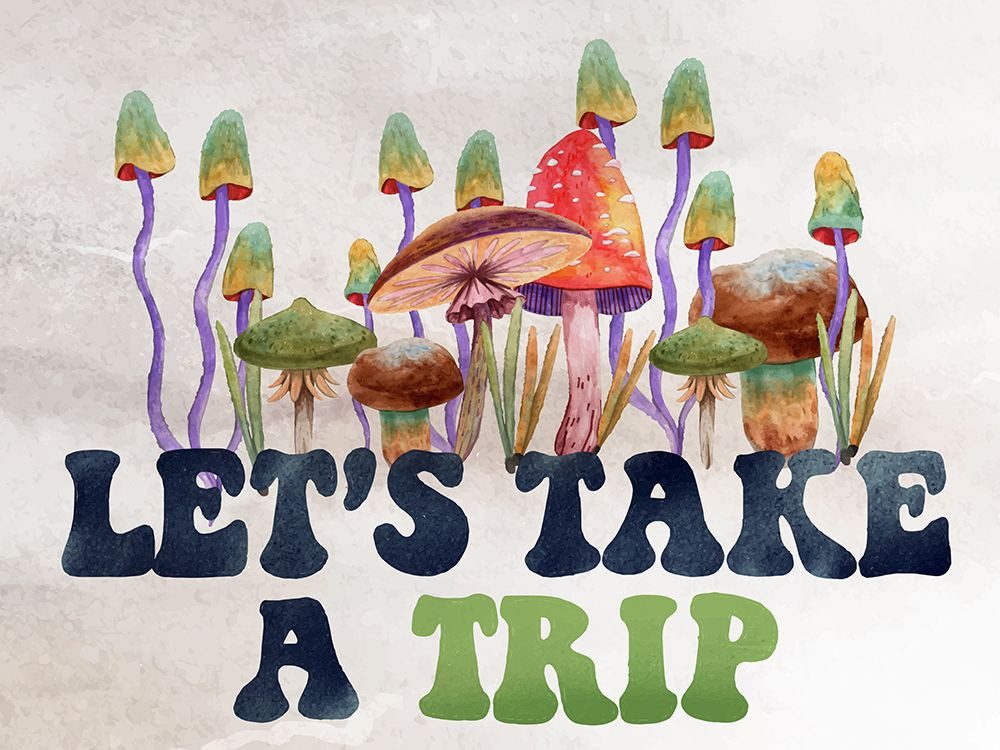 Lets Take A Trip Poster Print - Kimberly Allen - Posterazzi