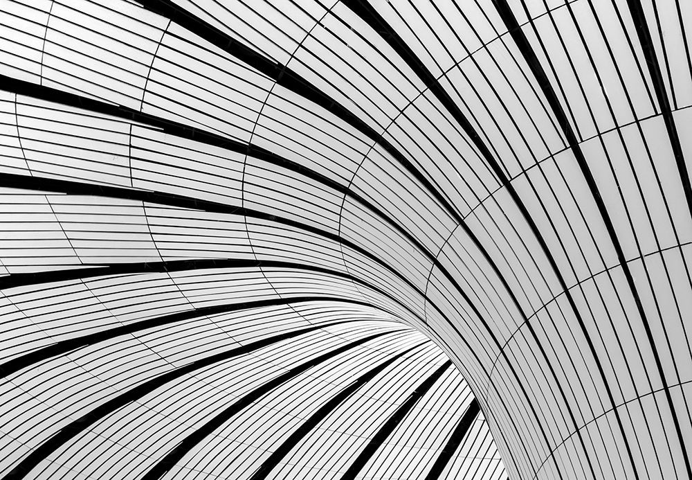 Tree Poster Print - Yuhan Chen - Posterazzi