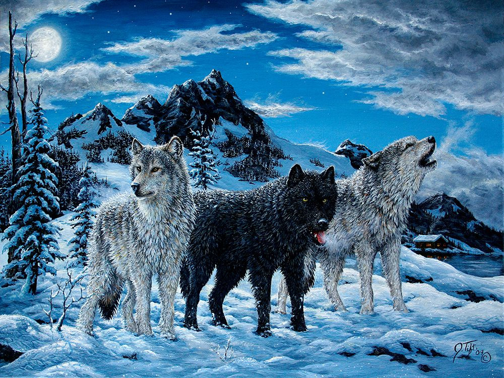 Night Howl Poster Print - Jeff Tift - Posterazzi