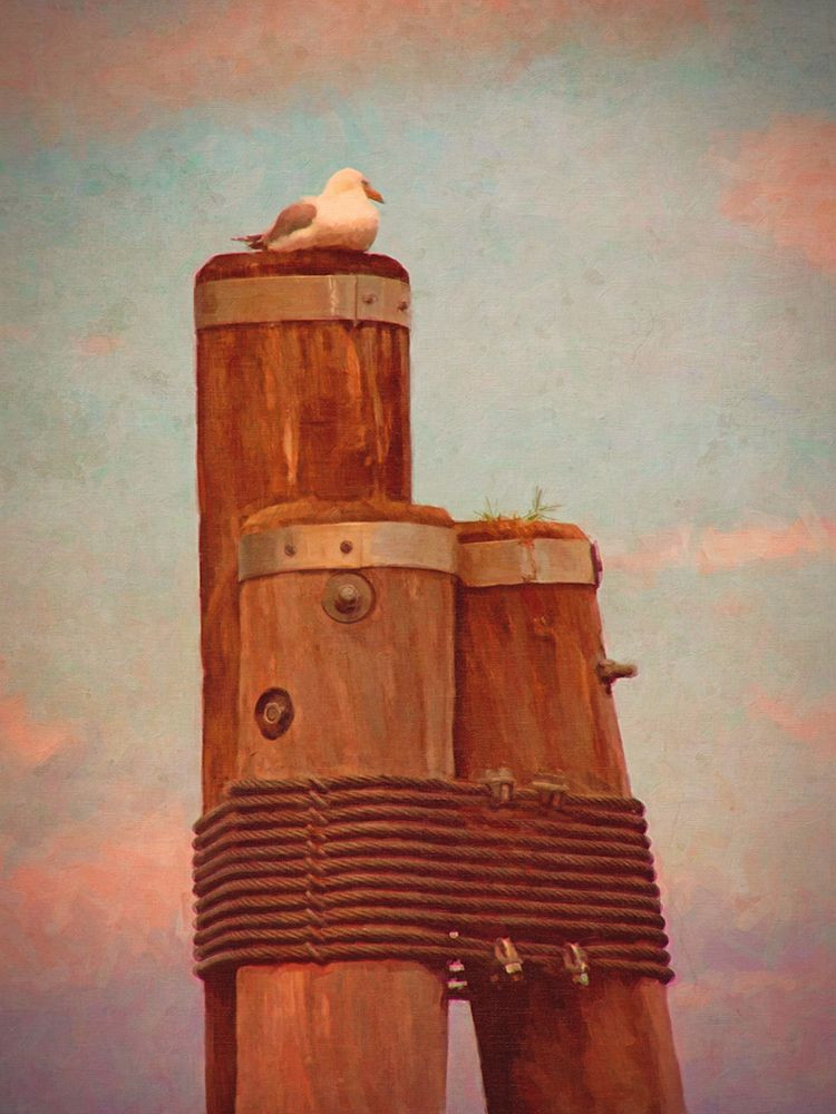 Seagull Perch Poster Print - GST - Posterazzi