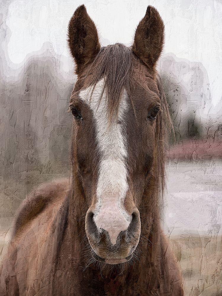 Mane 2 Poster Print - Kimberly Allen - Posterazzi