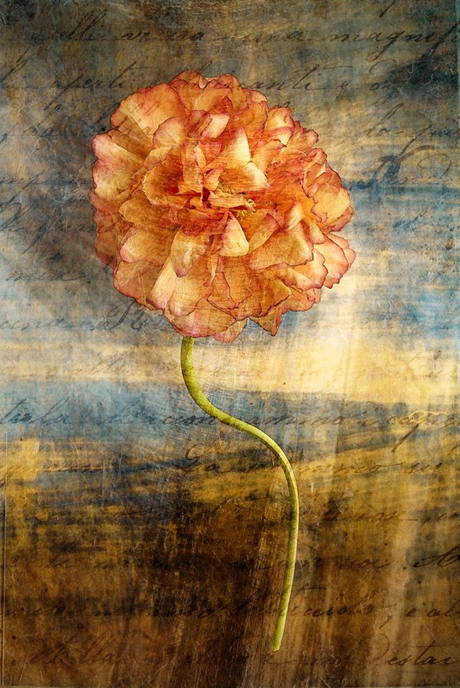 Steel Flower 4 Poster Print - Thea Schrack - Posterazzi