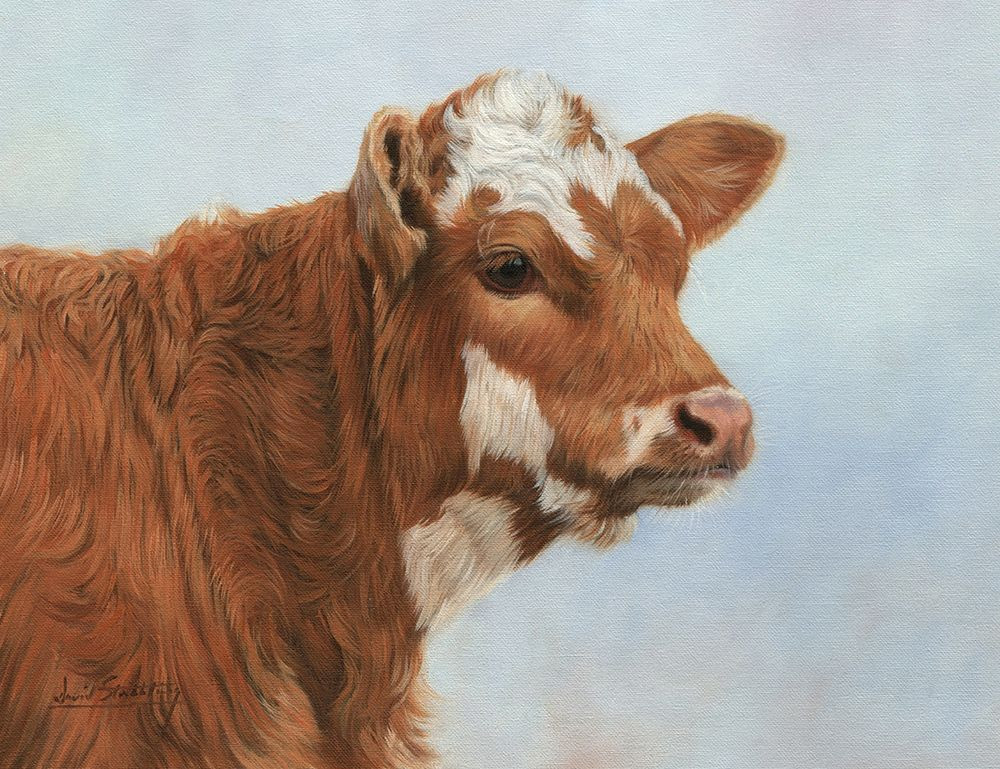 calf Poster Print - David Stribbling - Posterazzi