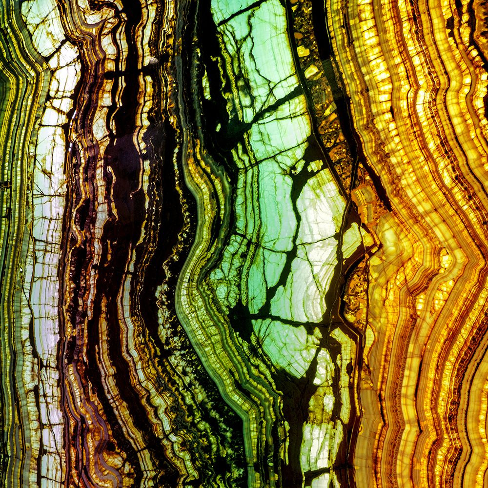 Sliced Agave Geode Poster Print - ArtLab GI - Posterazzi