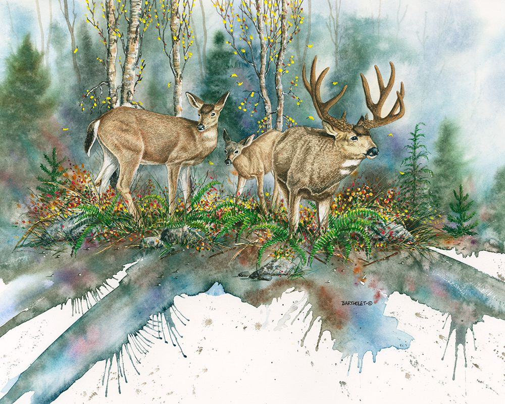 Blacktails Poster Print - Dave Bartholet - Posterazzi