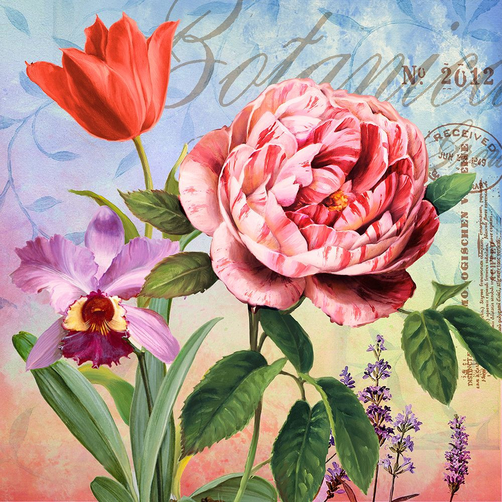 Botanique with Rose Poster Print - Licensing Studio Art - Posterazzi
