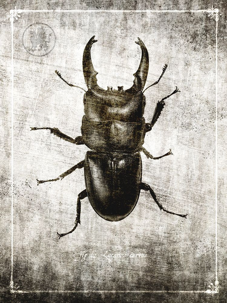 Macabre Collection H Poster Print - ArtLab GI - Posterazzi