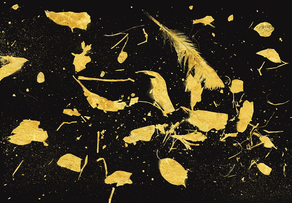 Gold Dust Poster Print - Florent Bodart - Posterazzi