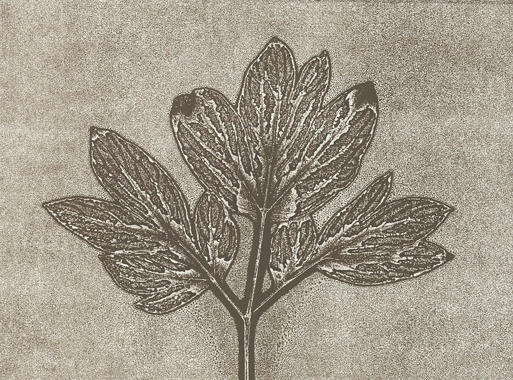 Horizontal Plants 2 Poster Print - Studio MMB - Posterazzi