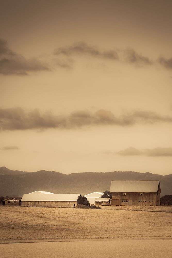 In the Wheat Poster Print - Don Schwartz - Posterazzi