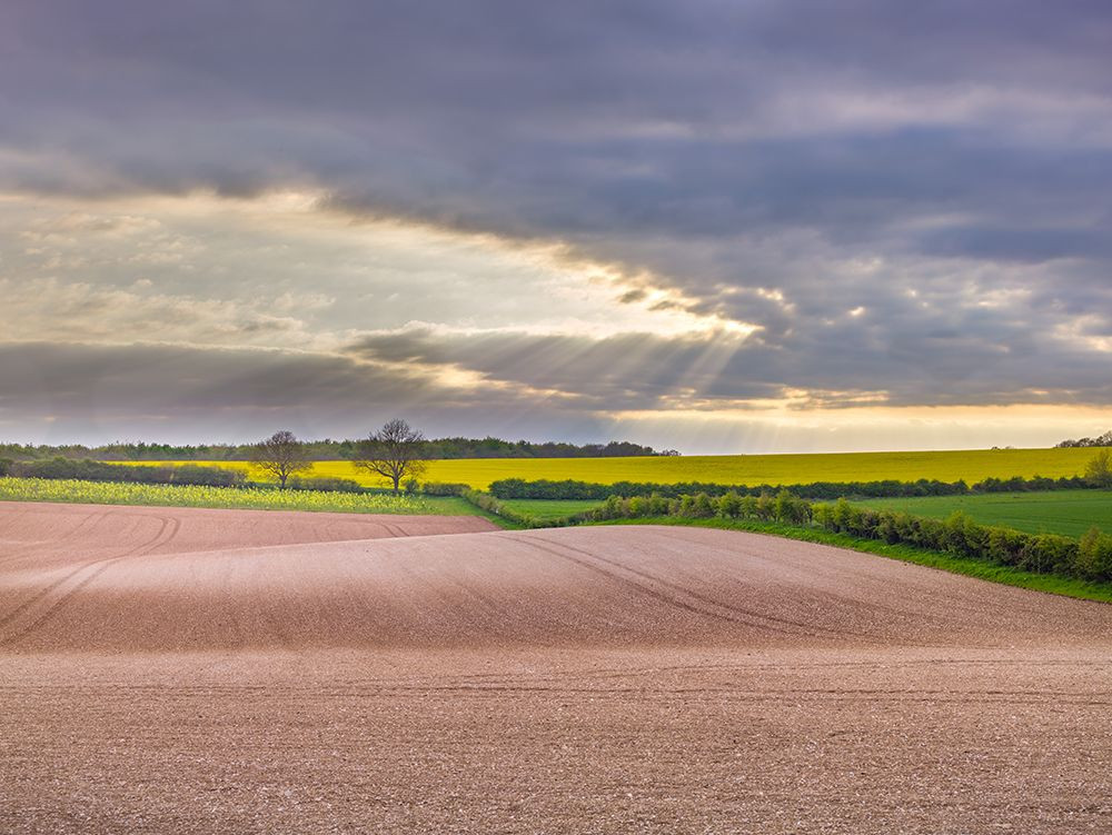 Farm fields in Hampshire during spring Poster Print - Assaf Frank ...
