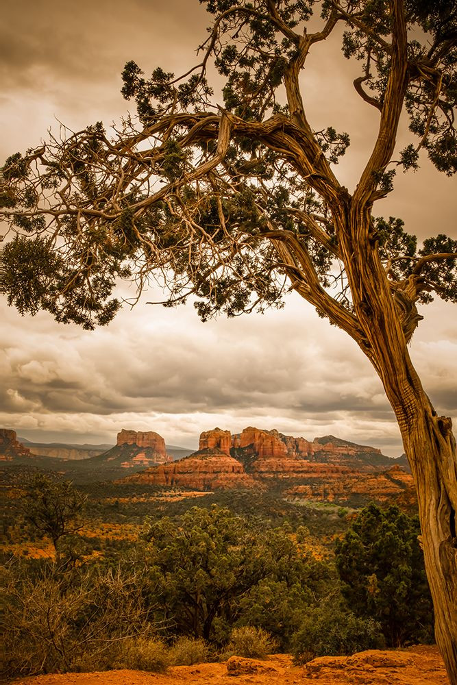 Sedona Overlook Poster Print - Don Schwartz - Posterazzi