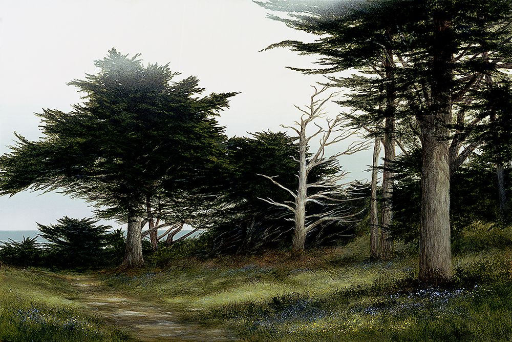 Cypress Point Poster Print - Larry Miller - Posterazzi