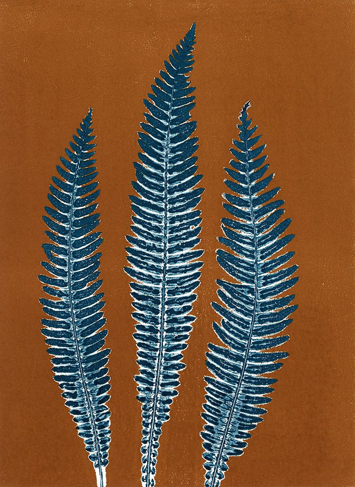 Nutmeg Fern 4 Poster Print - Studio MMB - Posterazzi