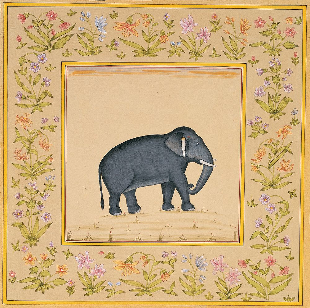 Elephant Poster Print - Unknown - Posterazzi