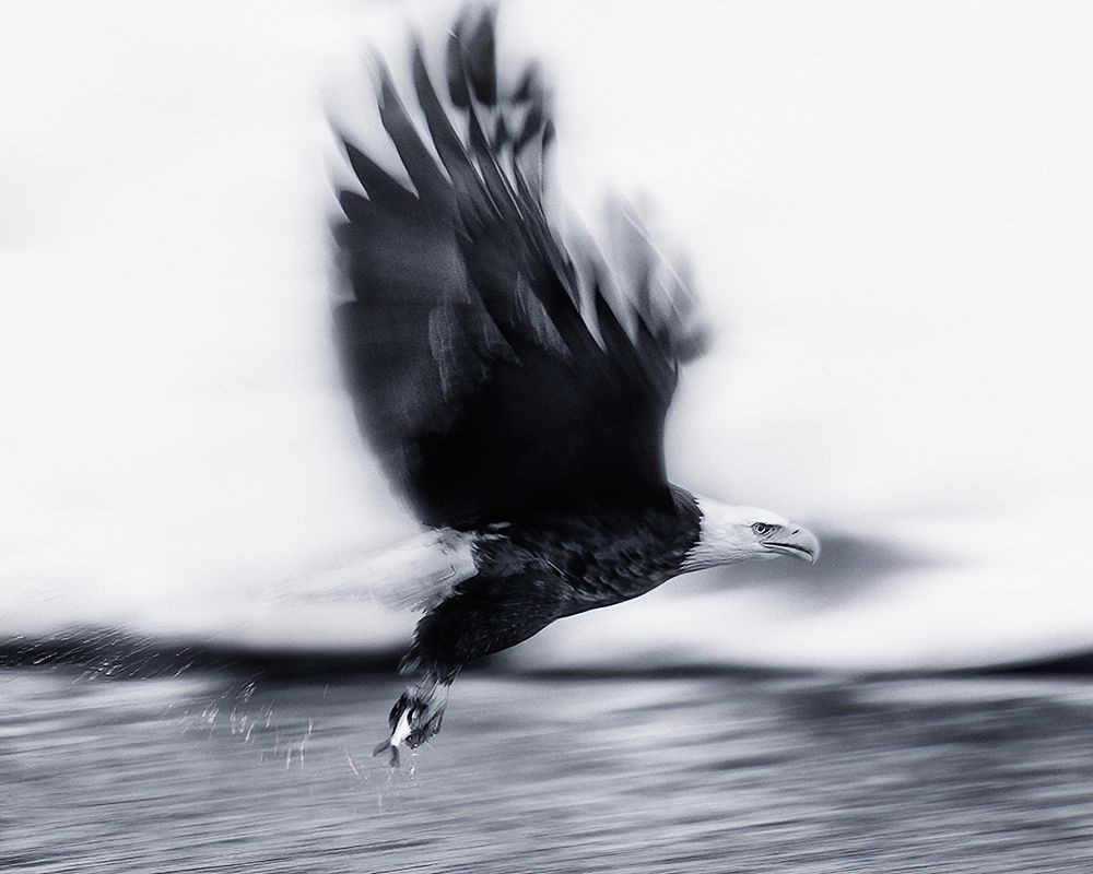 Untitled Poster Print - Yu Cheng - Posterazzi