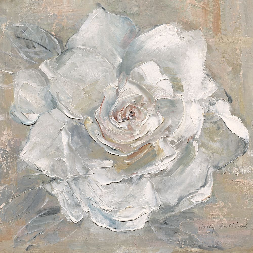 Gardenia Blush Poster Print - Sally Swatland - Posterazzi