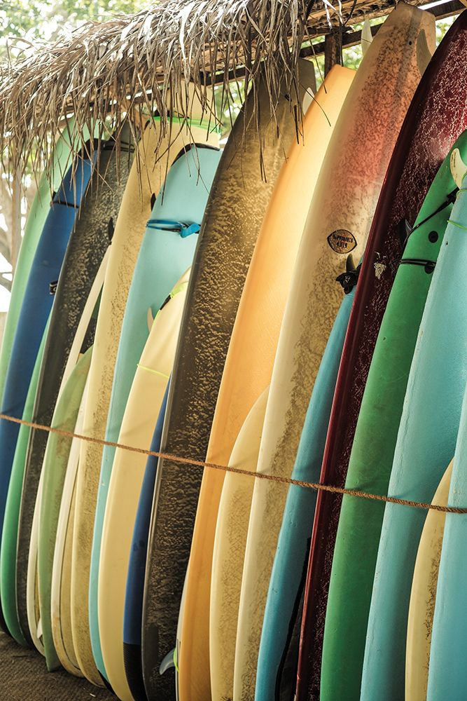 Ceylone Sliders Poster Print - by Clint Shot - Posterazzi