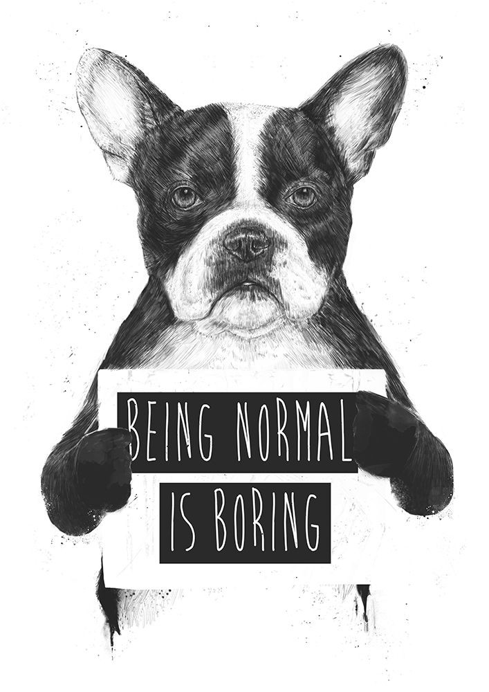 Being Normal Is Boring Poster Print - Balazs Solti - Posterazzi