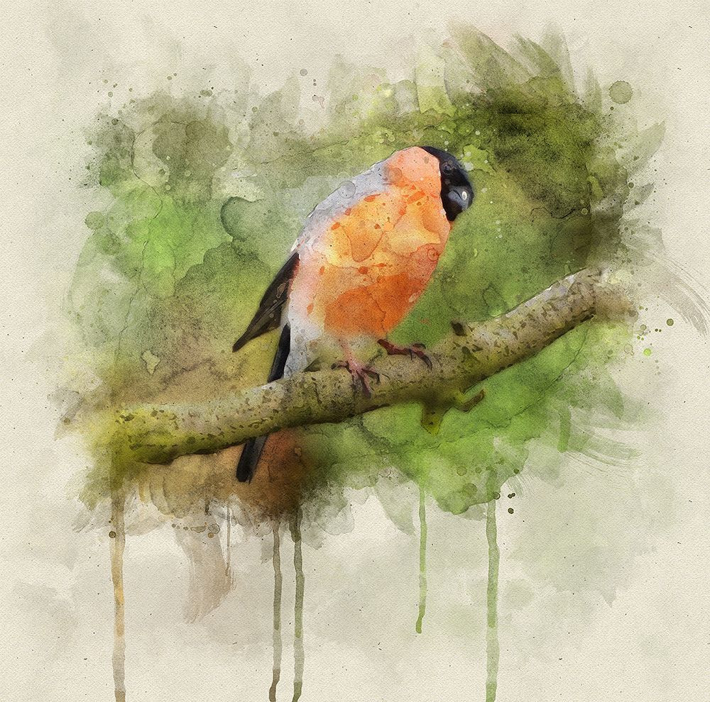 Bird 2 Watercolor Poster Print - Rachel Lee - Posterazzi
