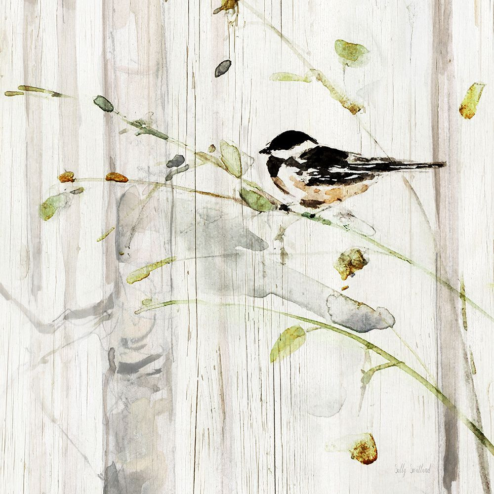 Heavenly Spring II Poster Print - Sally Swatland - Posterazzi