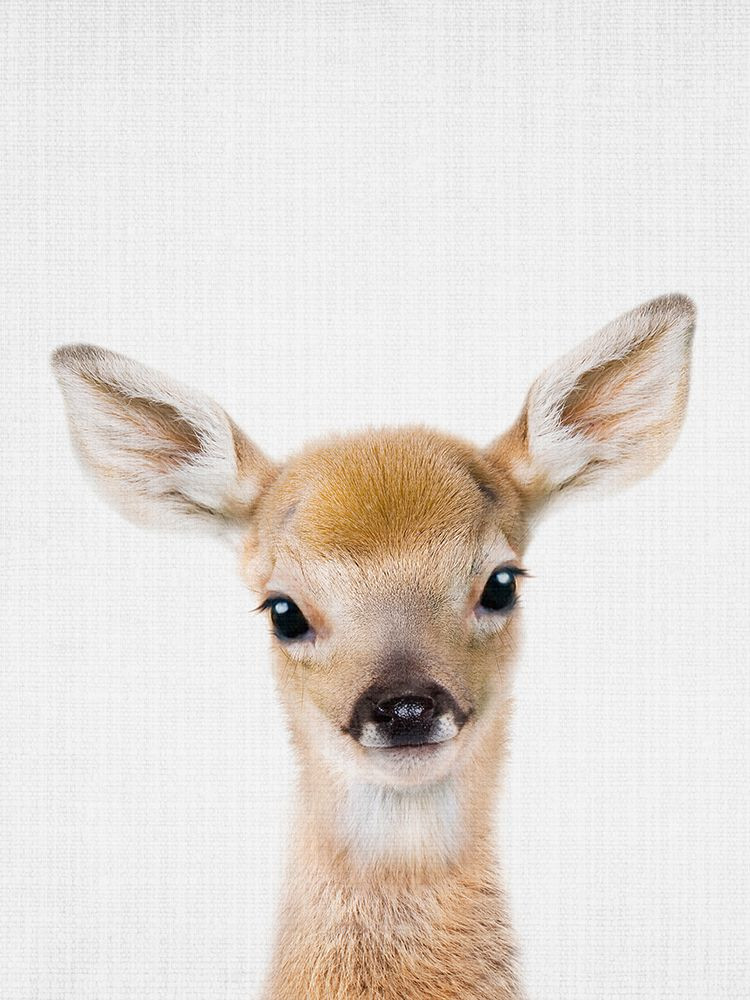 Peekaboo Baby Deer Poster Print - Lola Peacock - Posterazzi