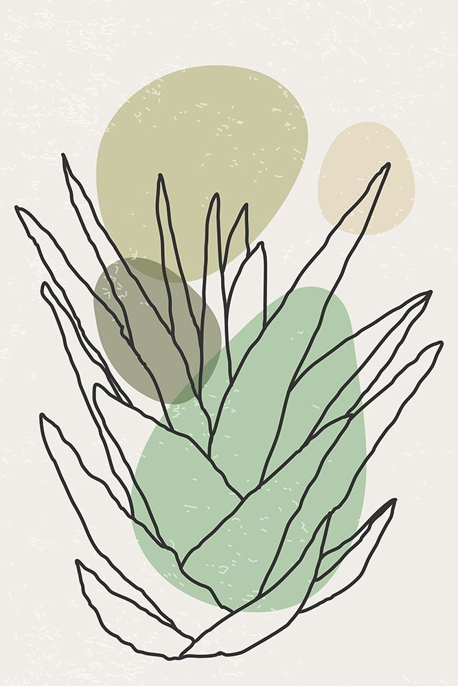 Color Abstract Agave #2 Poster Print - Jay Stanley - Posterazzi